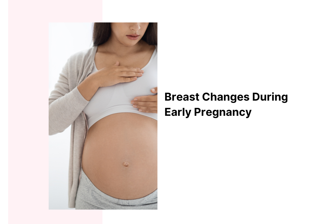 What Do Early Pregnancy Breasts Look Like