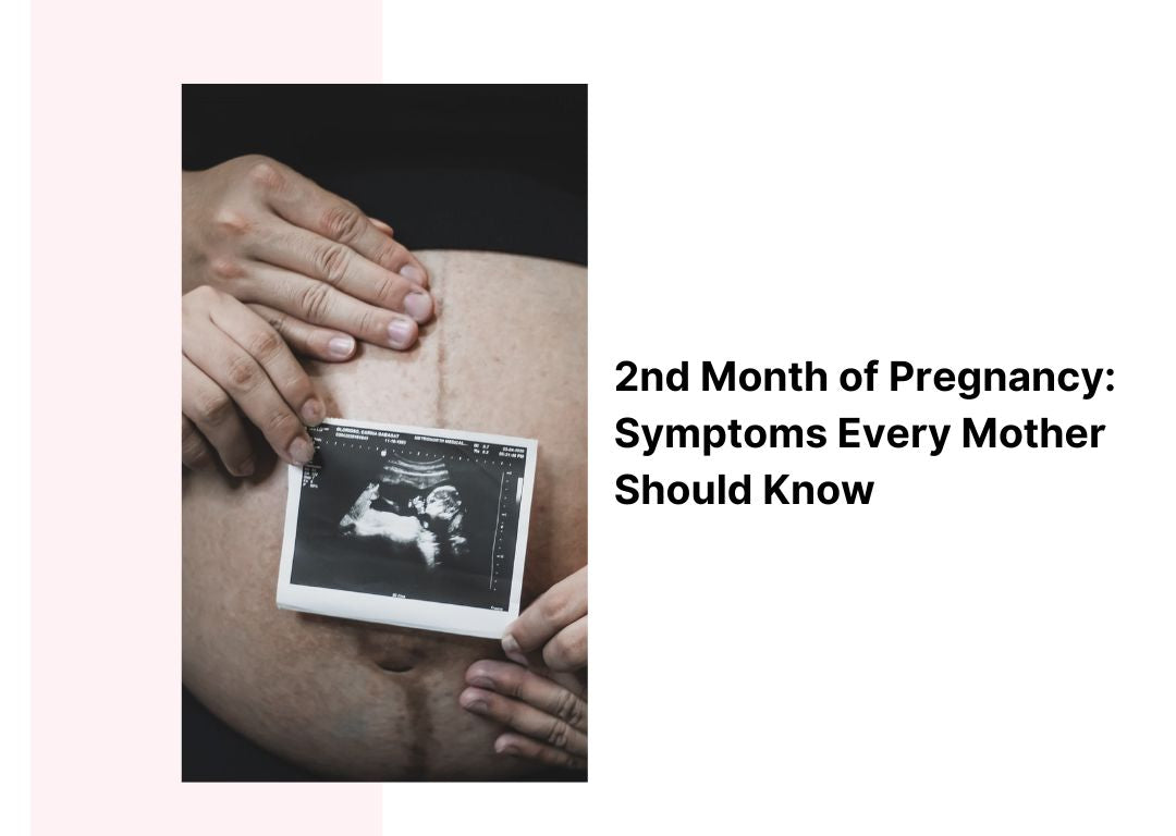 2nd Month of Pregnancy: Symptoms Every Mother Should Know – House Of ...